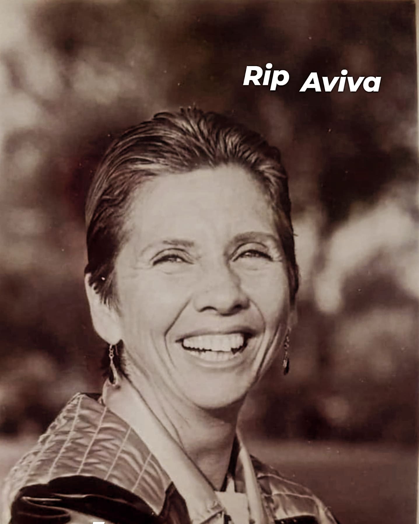 Edição Especial Vivi Haydu | Revista Têxtil